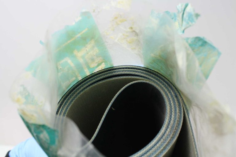 New Forbo Siegling E8/2 U0/U2-9483 Green Conveyor Belt 5.92' Long x 20 ...